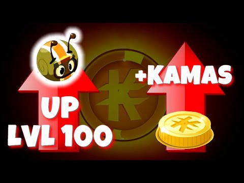 La MEILLEURE façon de MONTER des FAMILIERS/MONTILIERS ! (Dofus)