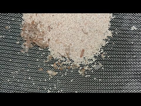 You Should Freeze Your Flour For 48 Hours And This Is Why