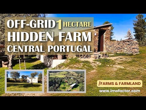 🔆 Off-Grid Hidden Farm with 1 Hectare | For Sale | Central Portugal - Unavailable