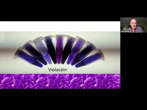 Paul Freemont: Cell-Free: Prototyping Parts, Building Biosynthetic Pathways and Making Xenobiotics