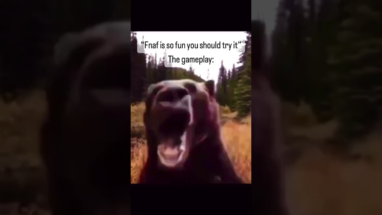 95% #humor #memes #meme #bears #fnaf