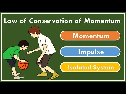 The Law of Conservation of Momentum | Physics