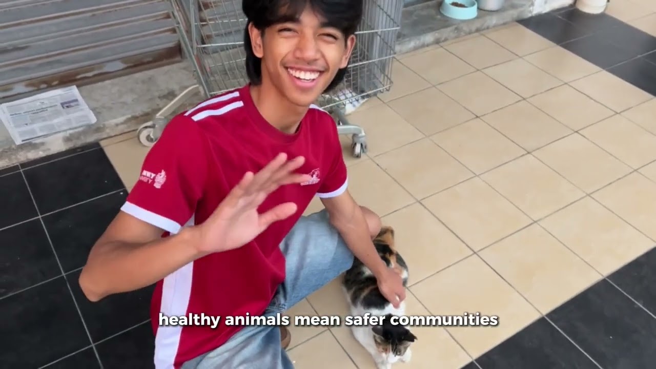 Paws of kindness: Small actions, Big impact