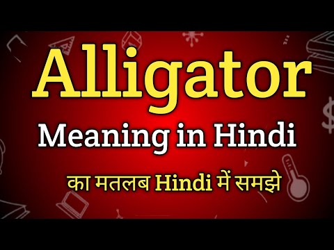 Alligator Meaning in Hindi | Alligator Ka Matlab kya Hota hai| English to Hindi dictionary
