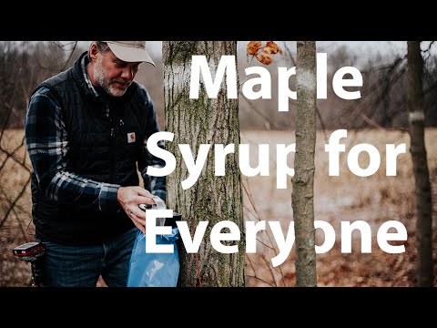 Maple Syrup for Everyone