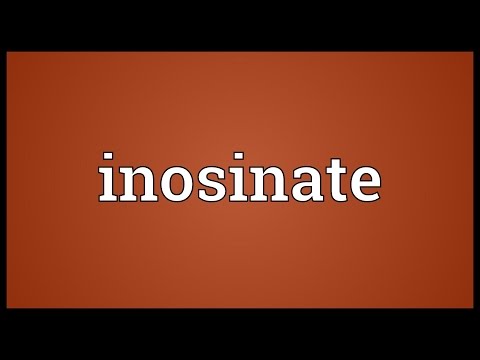 Inosinate Meaning