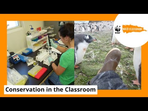 Photos & Videos | WWF