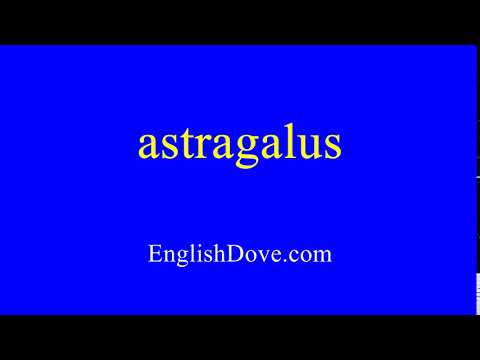 How to pronounce astragalus in American English.