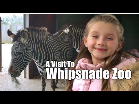 A Visit To Whipsnade Zoo