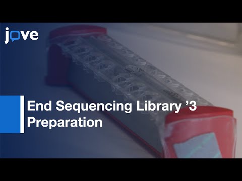 3' End Sequencing Library Preparation With A-seq2 l Protocol Preview