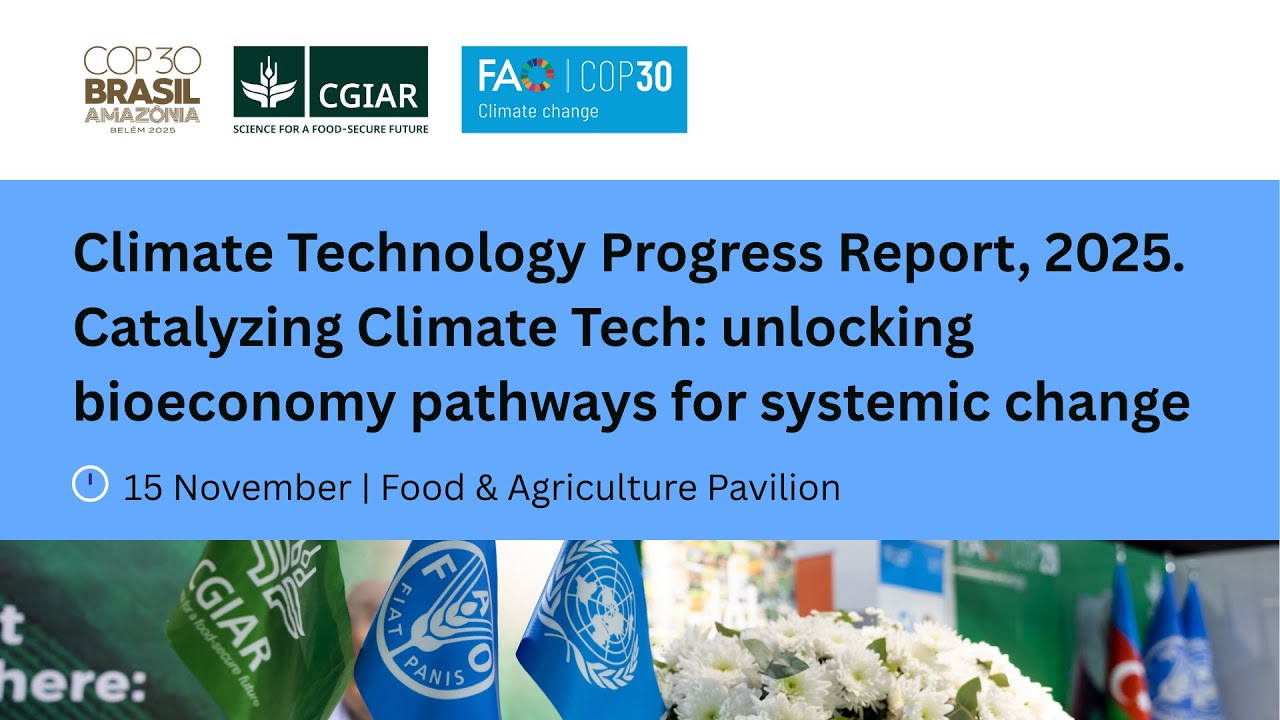 Climate Technology Progress Report, 2025. Catalyzing Climate Tech