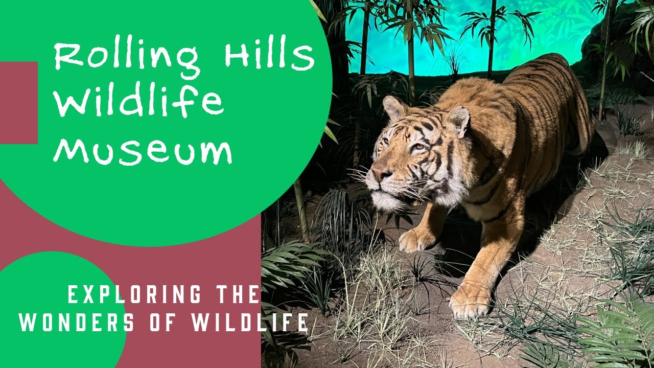 Exploring the Marvels of Nature: A Tour of the Rolling Hills Wildlife Museum in Salina, Kansas