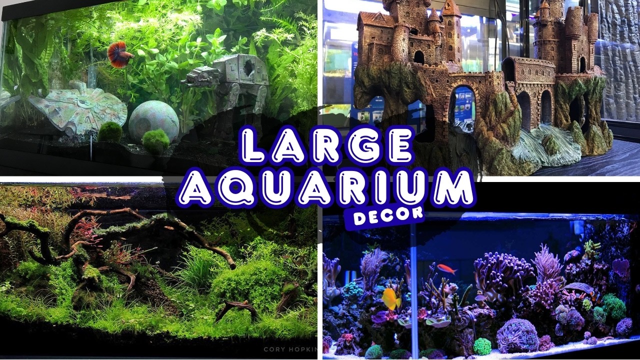 101+  Large Aquarium Decoration Ideas 2026 – Big Fish Tank Decor and Tall Tank Designs