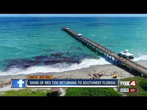 Red Tide lingering around Southwest Florida