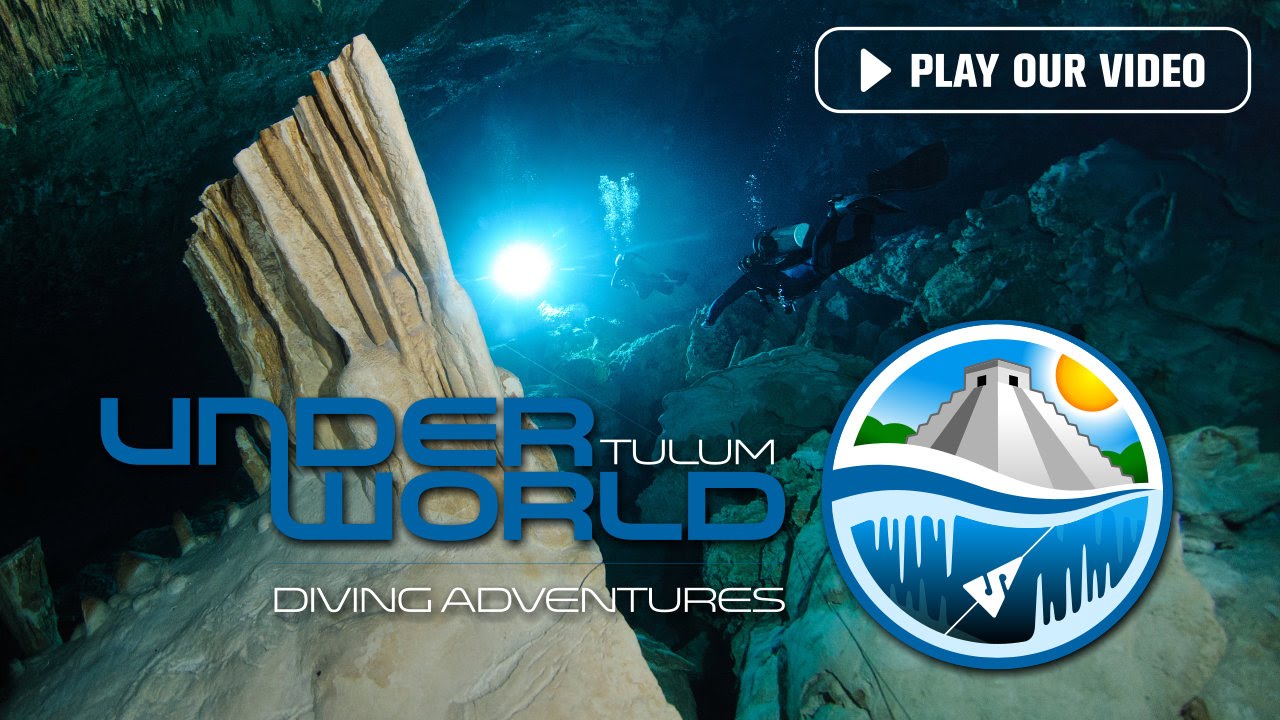 Discover Mexico diving with Underworld Tulum