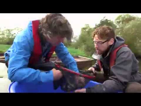 Dr Adam Piper on BBC Autumnwatch 2013 | ICER