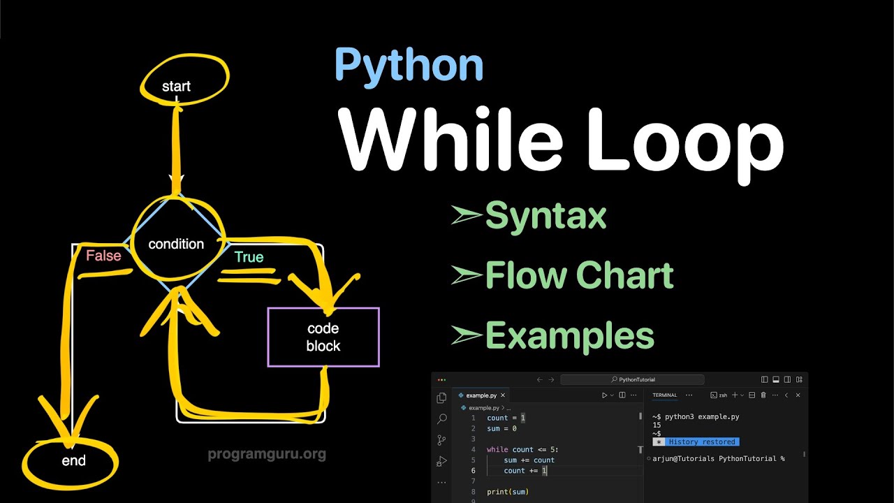 Python While Loop - Flow Chart, Syntax, and Examples - ProgramGuru