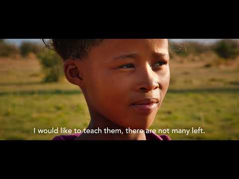 WildTrack using AI and Traditional Ecological Knowledge to protect wildlife