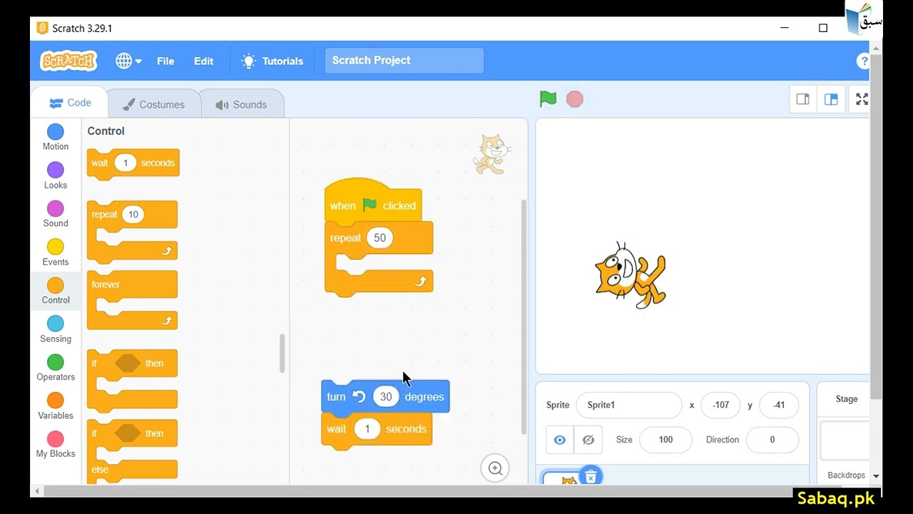 Types of Loops in Scratch, Computer Science Lecture | Sabaq.pk
