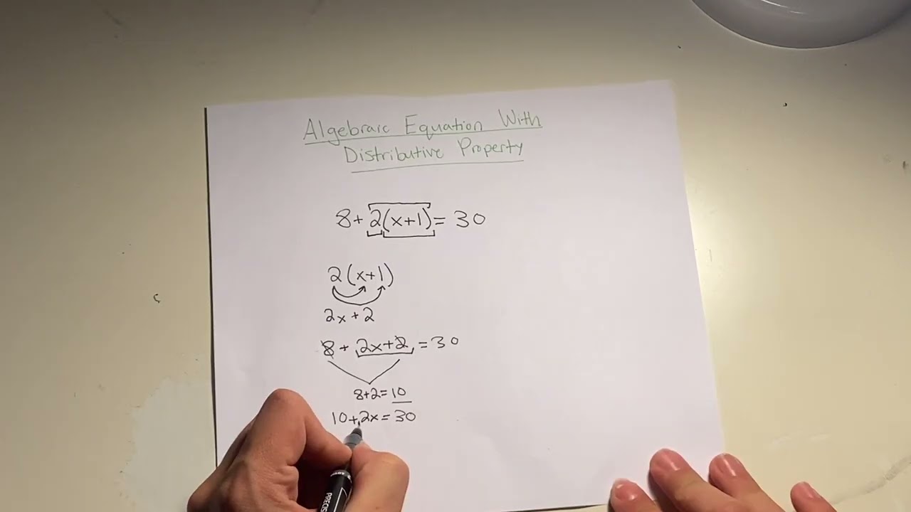 Solving an Algebraic Equation with Distributive Property - Ruby Farmer