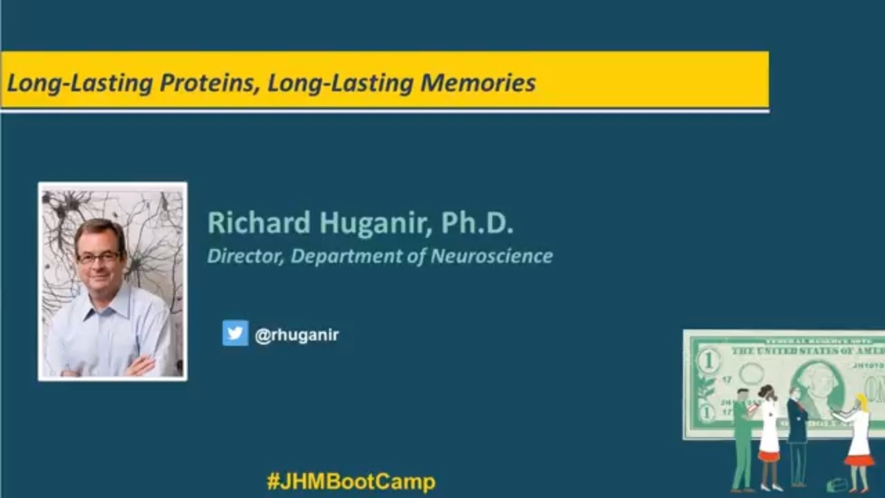 Long Lasting Proteins, Long Lasting Memories | Richard Huganir, Ph.D.
