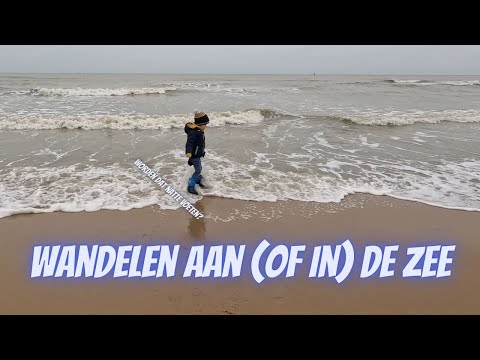 Wandelen aan (of in) de zee #106