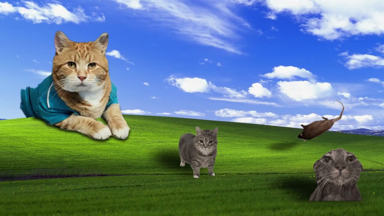 Cats Bliss - Animated Wallpaper [ Free Download ]