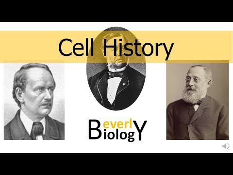 Cell History (updated)