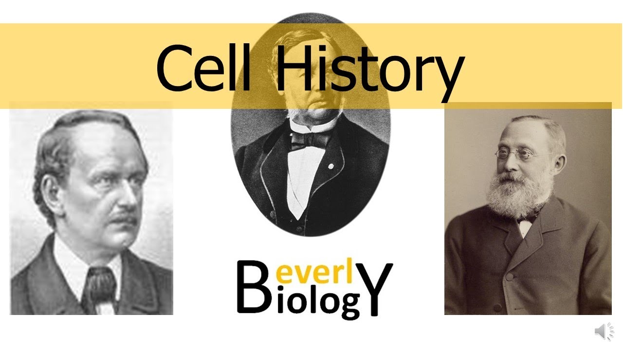 The Fascinating History of Cells: From Discovery to Diversity | Galaxy.ai