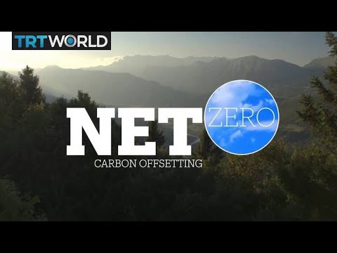 NET ZERO: Carbon Offsetting