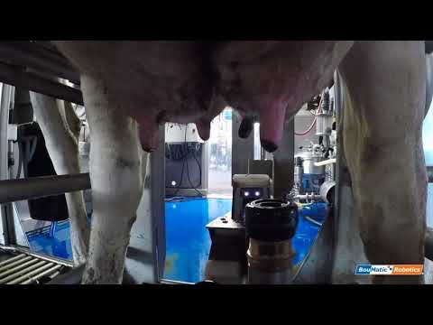 MR-D1, Milking Robot - Toop Family Farm, British Columbia (English)