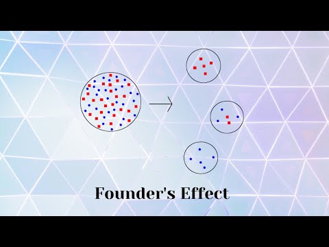 Founder’s Effect