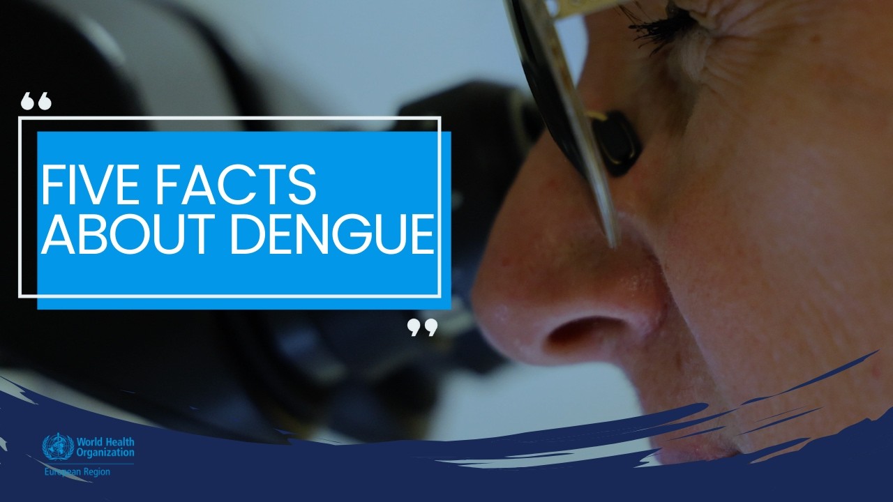 Five facts about dengue