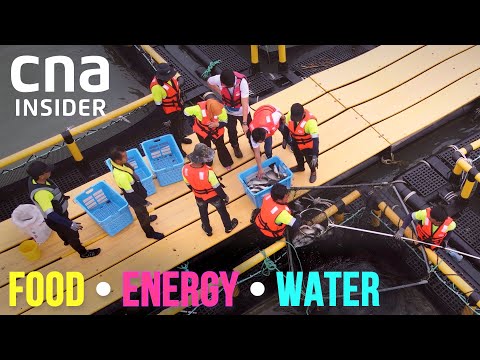Growing Singapore's Food Security | Food, Energy, Water - Part 1 | Full Episode
