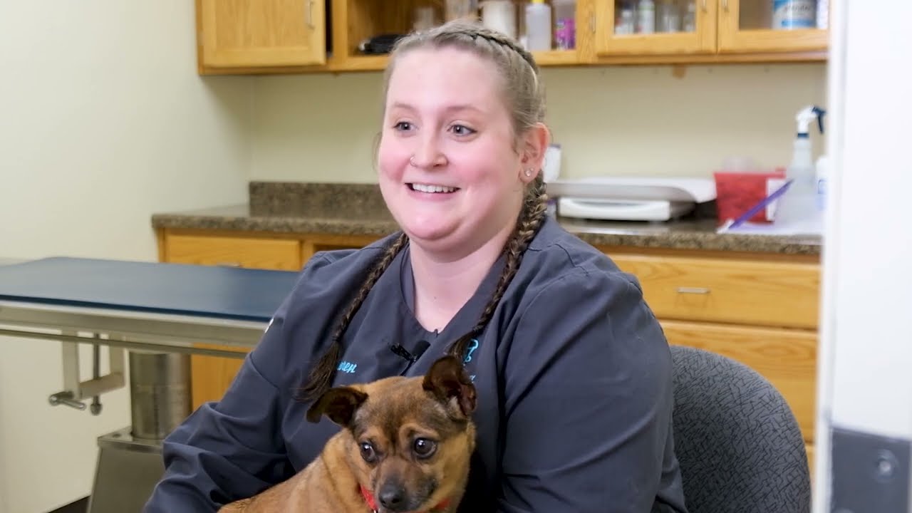 Veterinary Technology - Program Overview