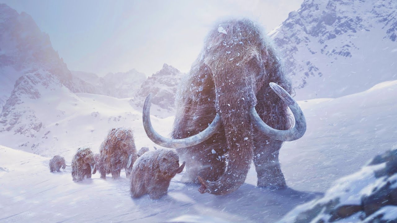 Prehistoric Planet Ice Age [2025] - Woolly Mammoth (Mammuthus primigenius) Screen Time Part 1