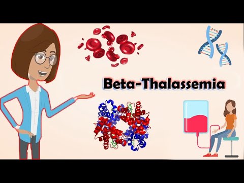 Beta-Thalassemia
