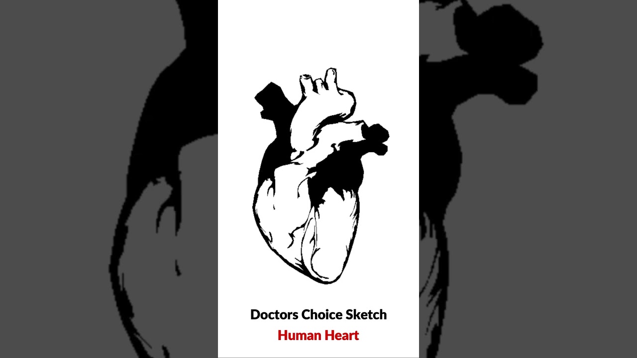 Human Heart Sketch in Python-#shorts #youtubeshorts #viral #trending #youtube#shortvideo#td#ytshorts