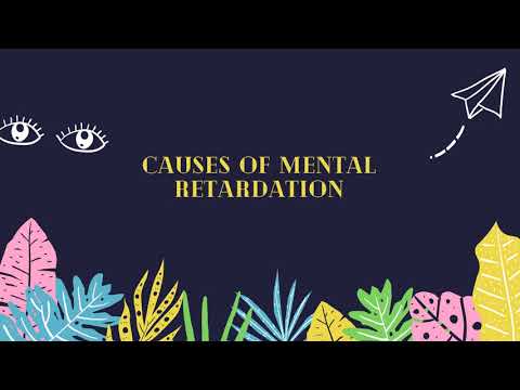 Mental Retardation,What is Mental Retardation?