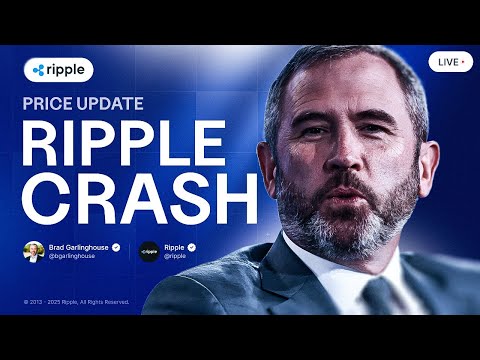 aBrad Garlinghouse: RIPPLE CRASH - What Will Happen Next?! XRP Price Prediction