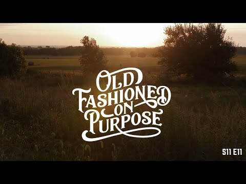 S11 E11: How to Find Nourishing Food WITHOUT a Farm w/ Liz Haselmayer