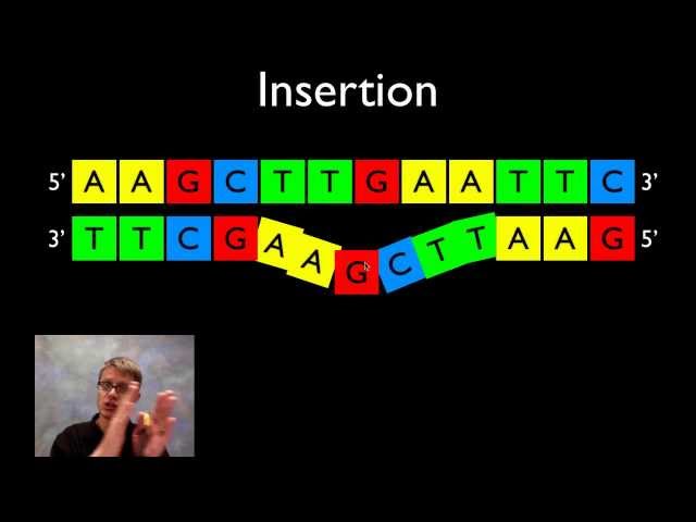 Understanding Mutations: The Good, The Bad, and The Science Behind Them ...