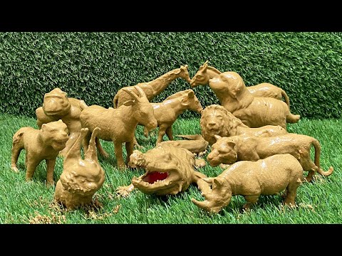 Exploring Natureβs Giants: Farm Animals, Jungle Beasts, and Zoo Wonders!