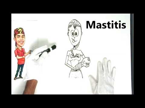 Mastitis and Treatment Explained Simply