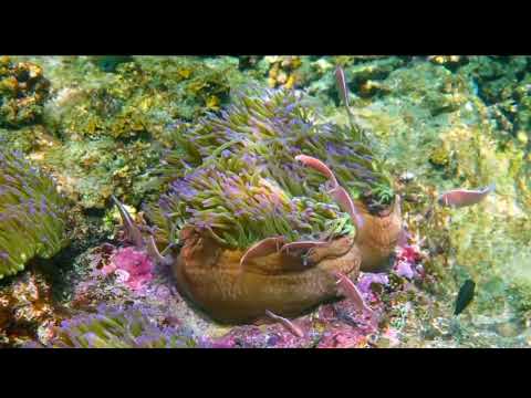 sea mystery photo -hd -8k