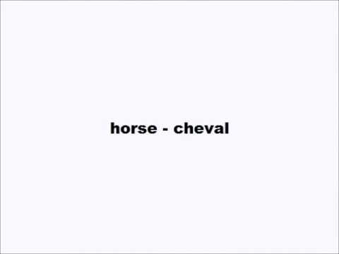 The French Word For "Horse"