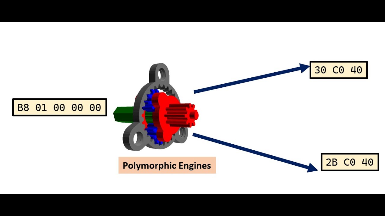 Instruction Level Polymorphism for Static Signature Evasion