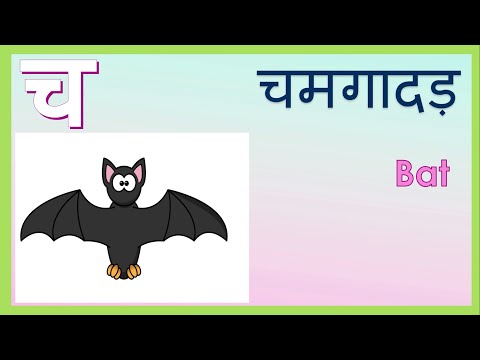 सीखें "च" से शुरू होने वाले शब्द | Learn words starting with letter "Cha" #hindivarnmala