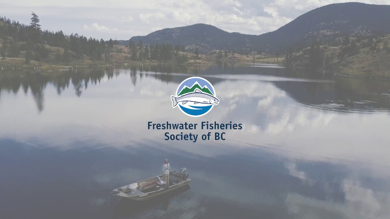 How to Fish: Scud or Shrimp Fly Fishing Strategies | GoFishBC