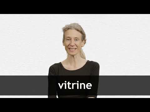 English Translation of “VITRINE” | Collins French-English Dictionary
